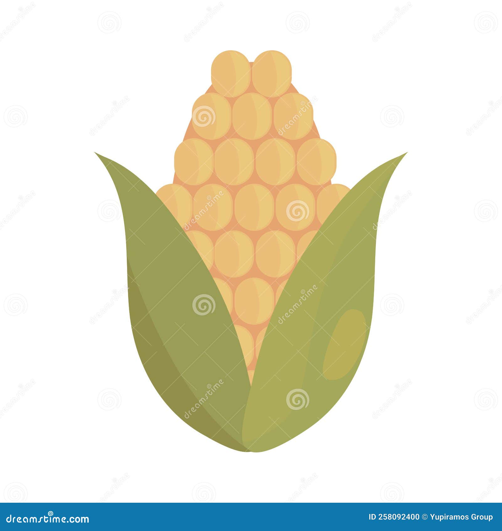 Corn cob icon stock illustration. Illustration of isolation - 258092400