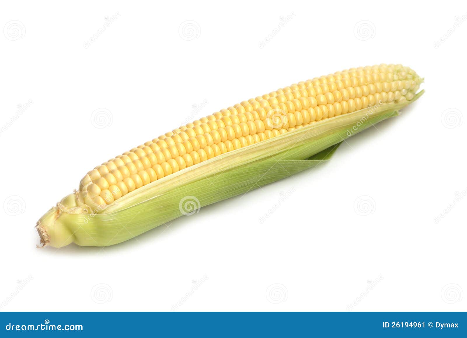 Corn cob isolated ob white stock image. Image of food - 26194961