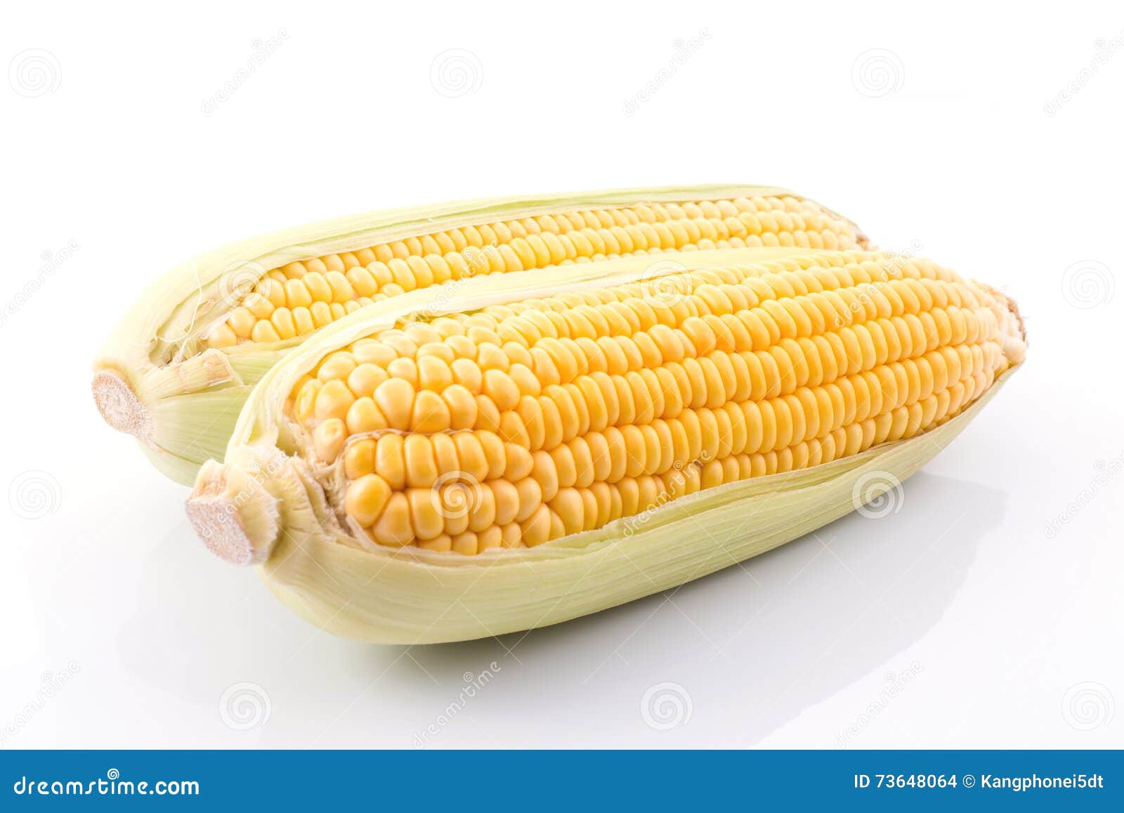 Corn Cob Isolated on White Background with. with Green Leaves Stock ...