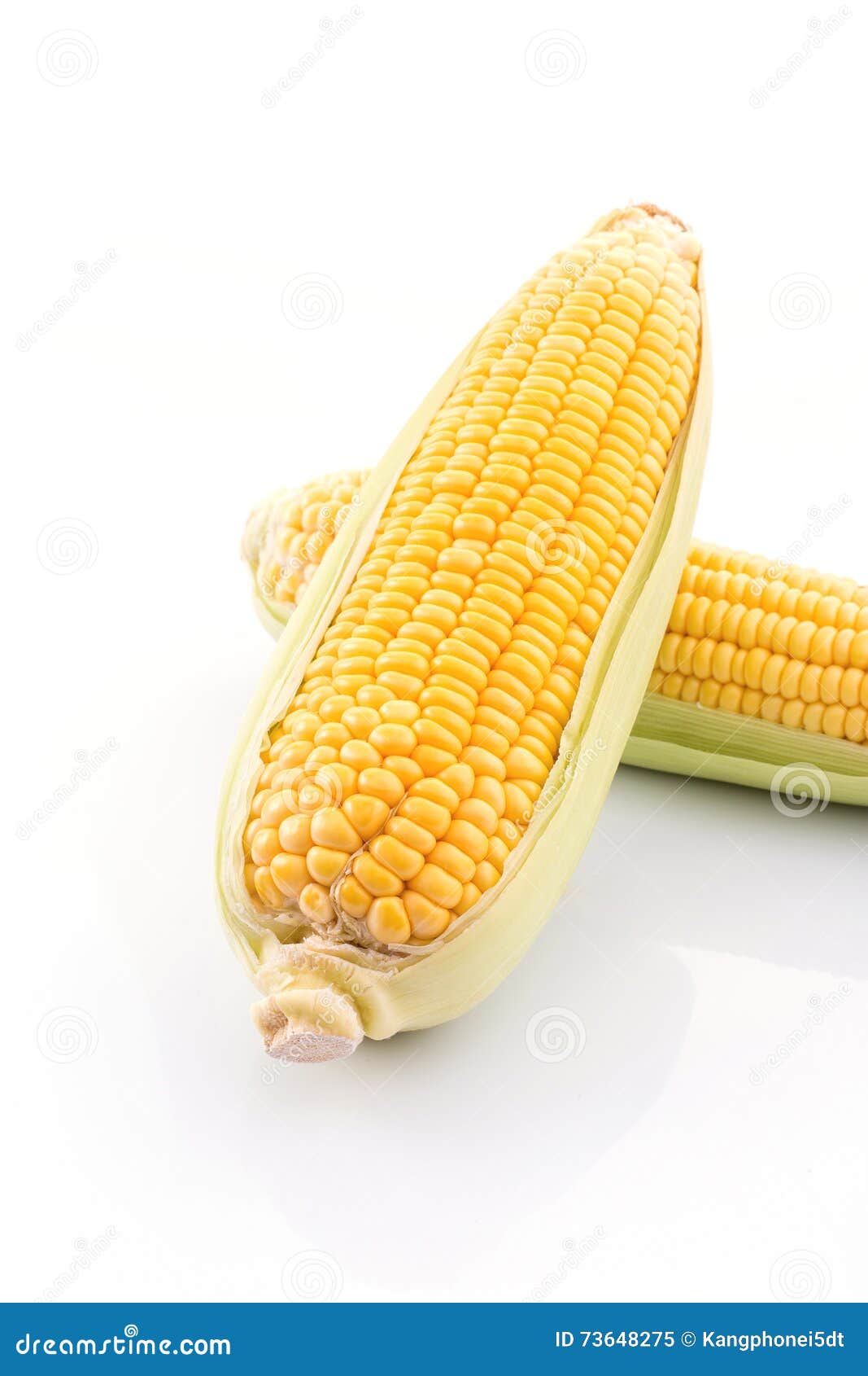 Corn Cob Isolated on White Background with. with Green Leaves Stock ...