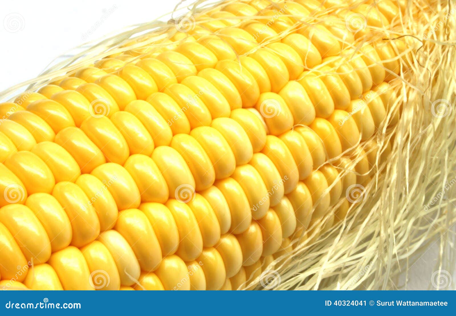Corn on the cob kernels stock image. Image of kernels - 40324041
