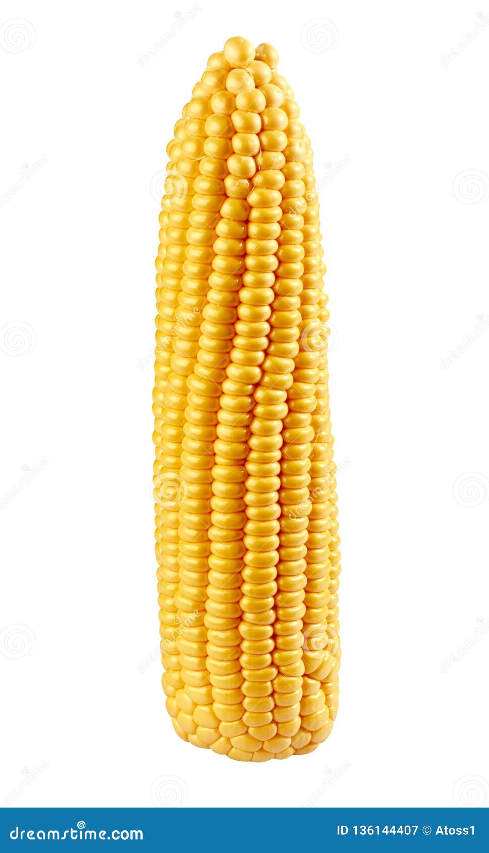 Corn on the cob kernels stock image. Image of golden - 136144407
