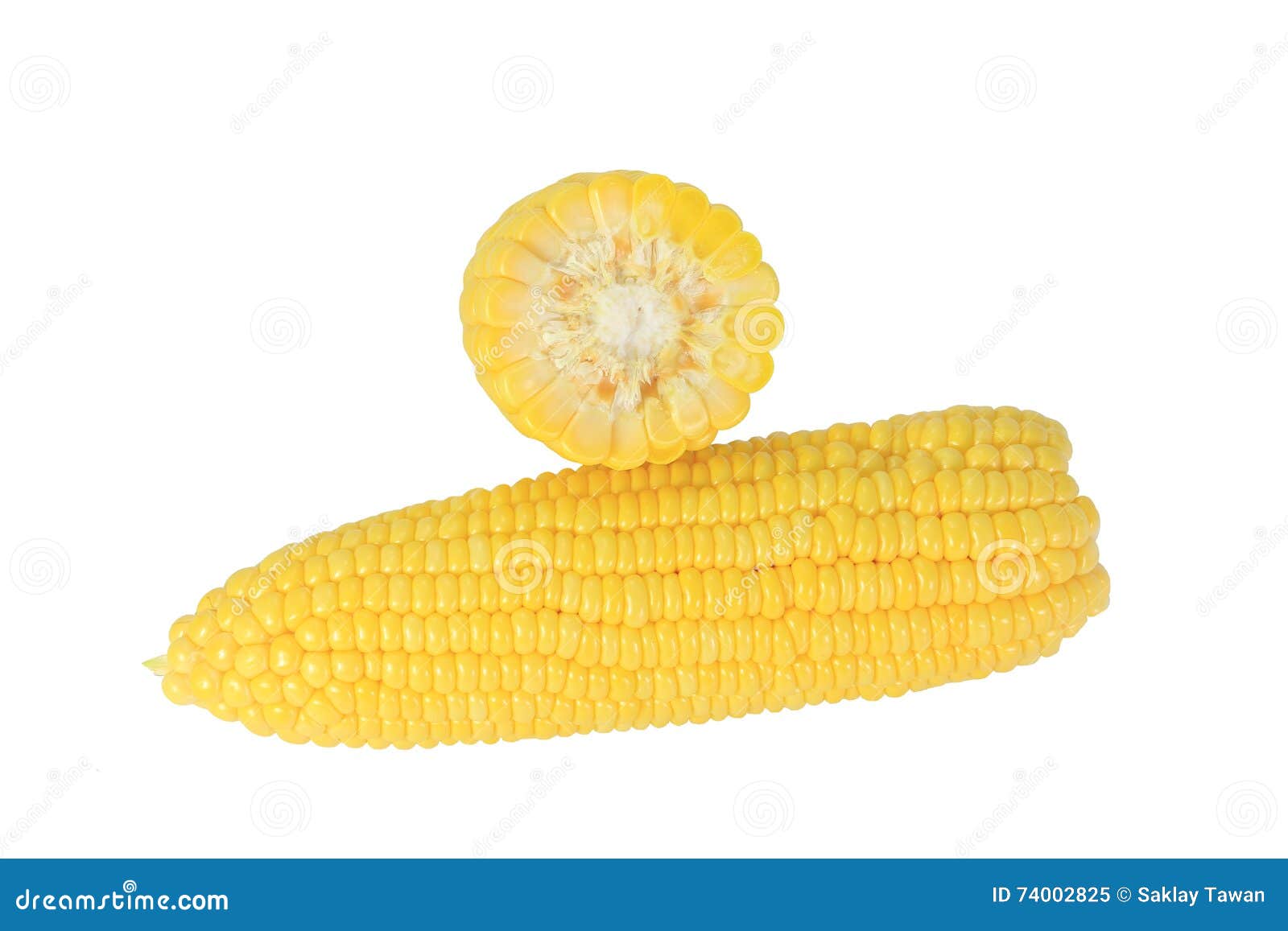 Corn on the cob kernels stock image. Image of isolated - 74002825