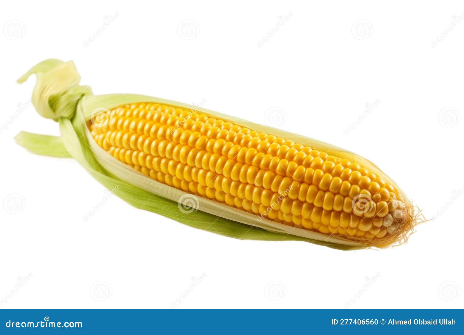 Corn Cob with Kernels, Isolated on Transparent Background, Generative ...