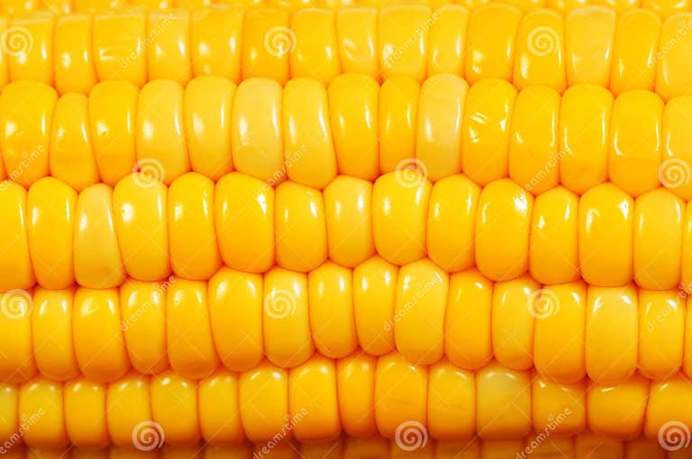 Corn cob macro stock image. Image of crop, yellow, sweet - 11296409