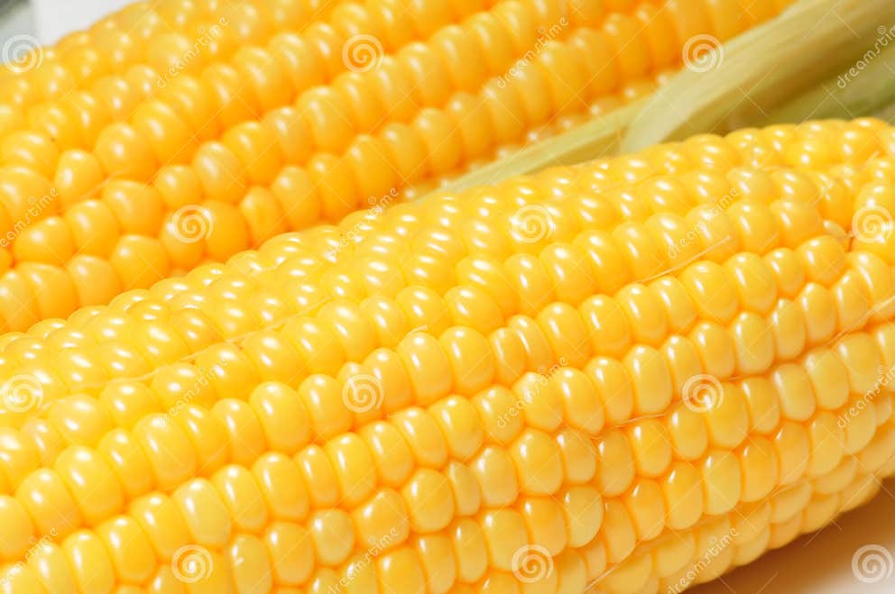 Corn cob macro stock photo. Image of macro, healthy, grain - 14397742