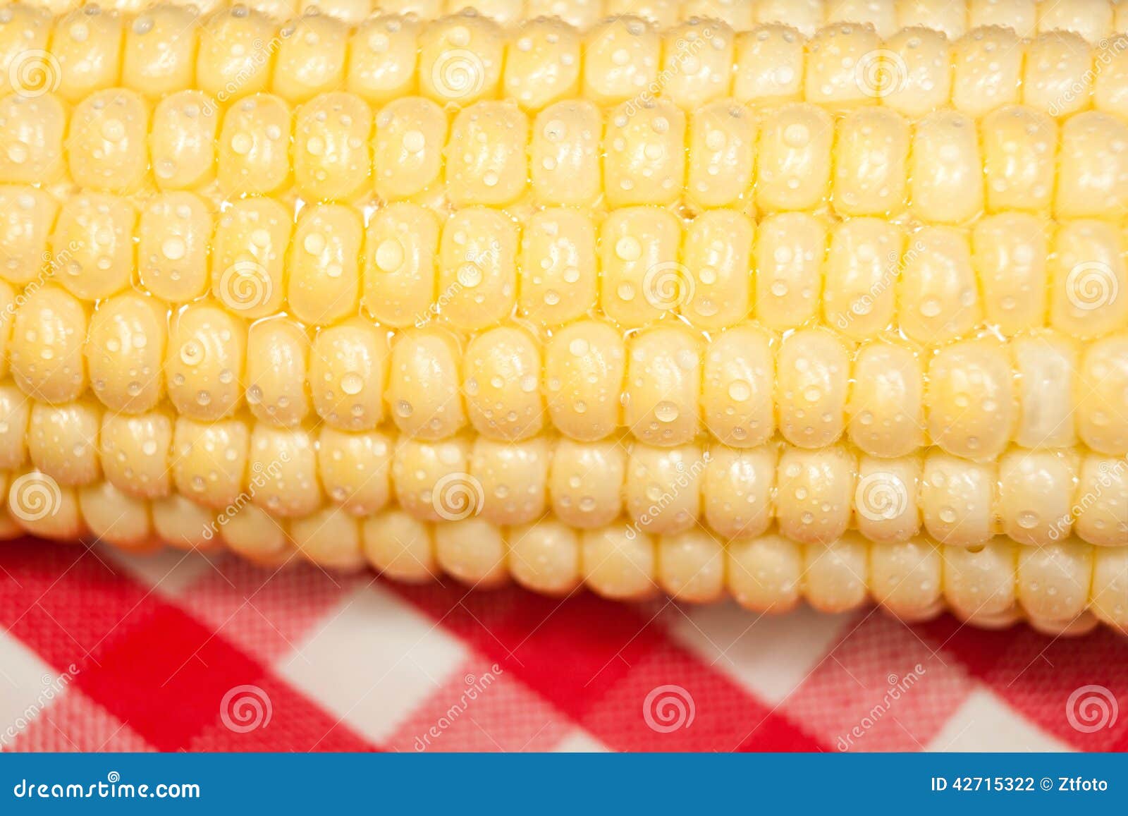 Corn on the cob macro stock photo. Image of freshness - 42715322