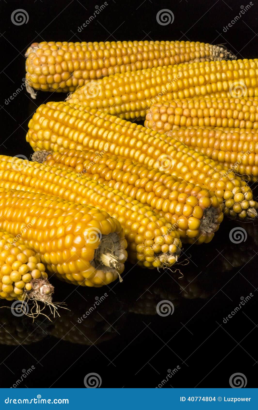 Corn, Cob, Multiple, Yellow, Ripe, Grain, Food Stock Photo - Image of ...
