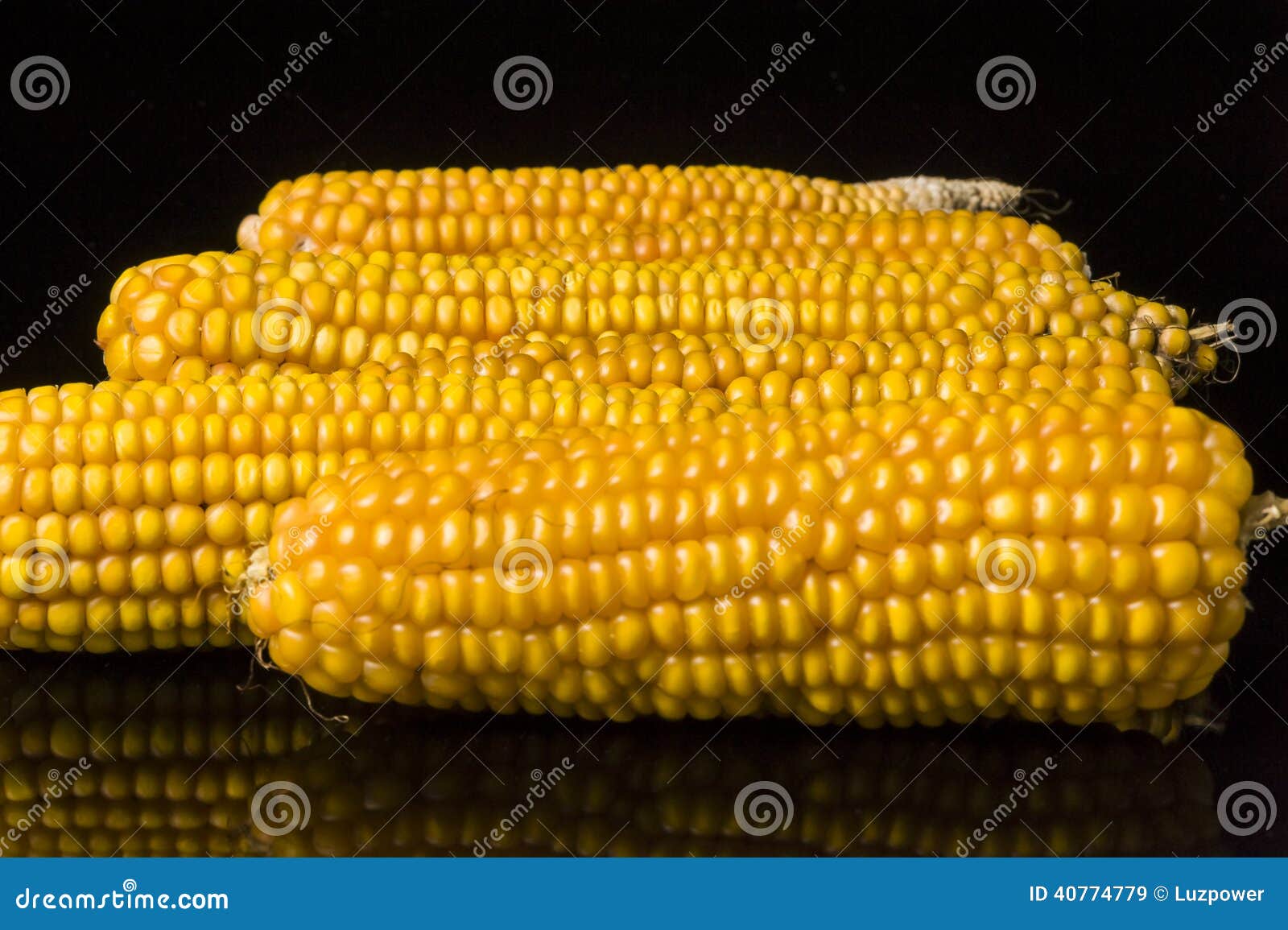 Corn, Cob, Multiple, Yellow, Ripe, Grain, Food Stock Image - Image of ...