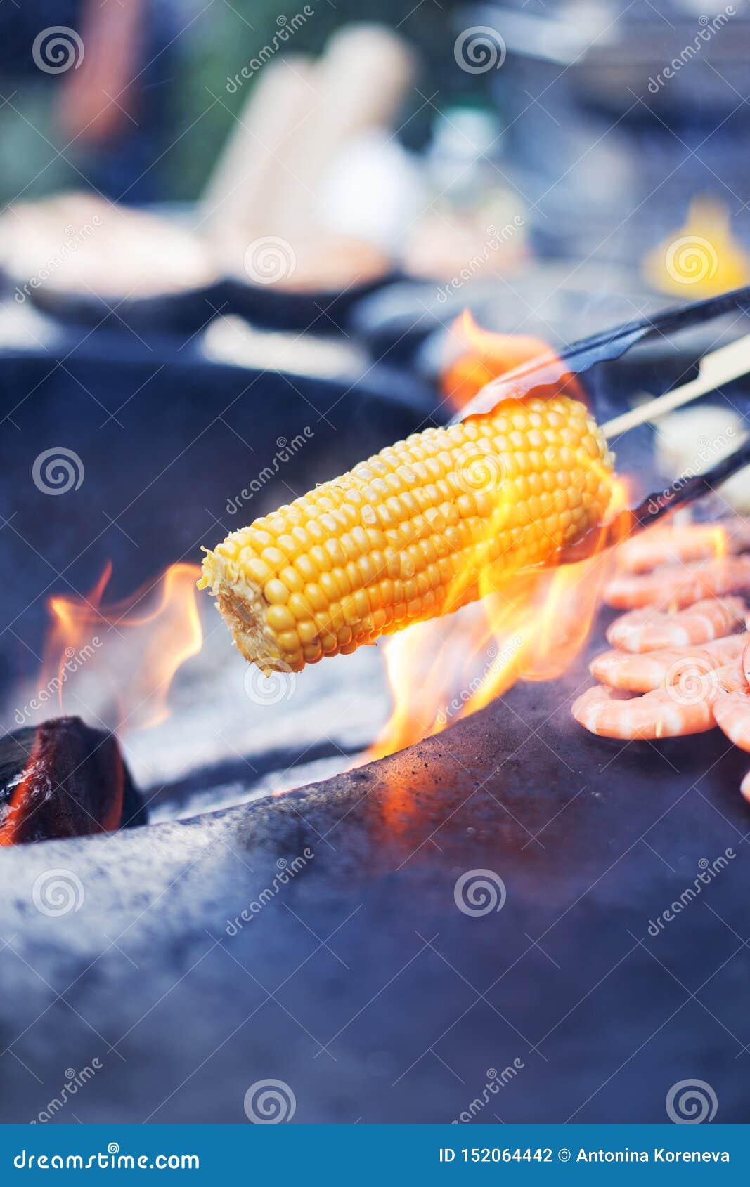 Corn cob on open fire stock photo. Image of cobs, fire - 152064442