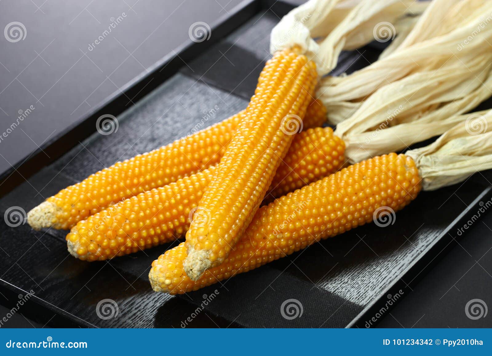 Corn Cob for popcorn stock photo. Image of maize, food - 101234342