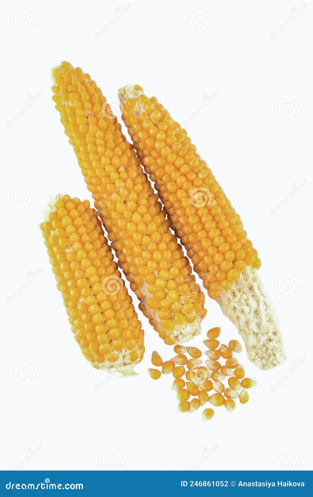 Separated Corn - Maize Parts Stock Image | CartoonDealer.com #160312087