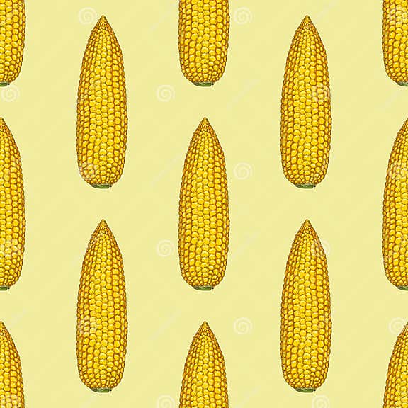 Corn Cob Seamless Pattern stock vector. Illustration of gourmet - 143372762