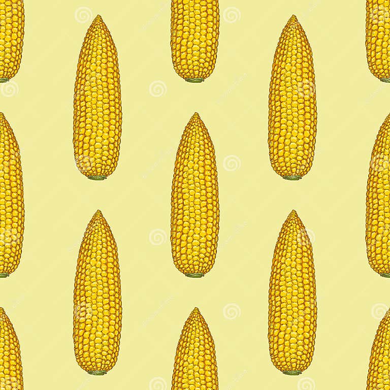Corn Cob Seamless Pattern stock vector. Illustration of gourmet - 143372762
