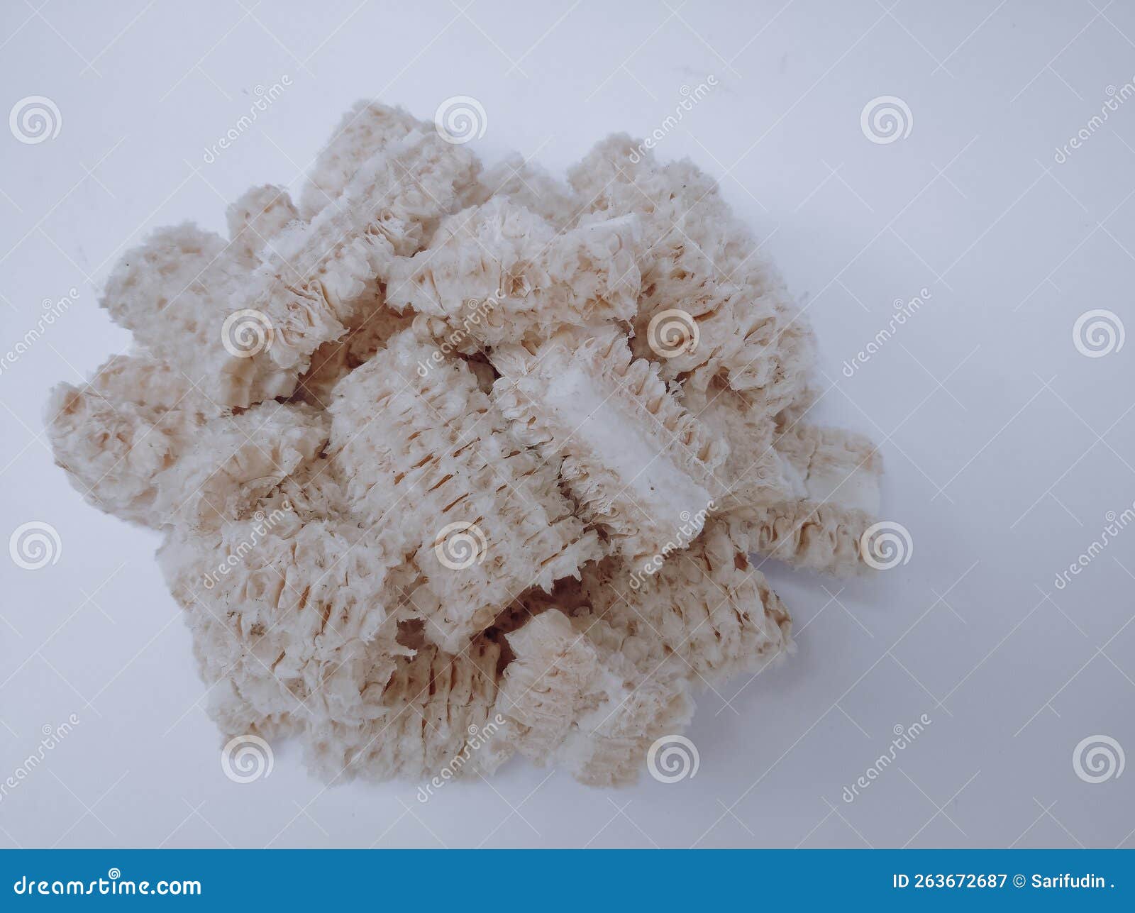 Corn Cob Isolated on White Background Stock Image - Image of ingredient ...