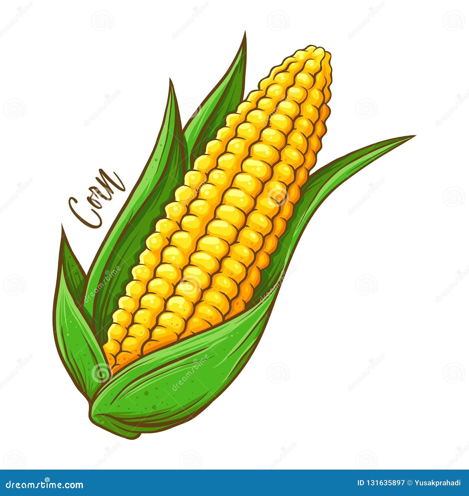 Corn on the Cob Vegetable stock vector. Illustration of ingredients ... Corn on the Cob Vegetable stock vector. Illustration of ingredients ...