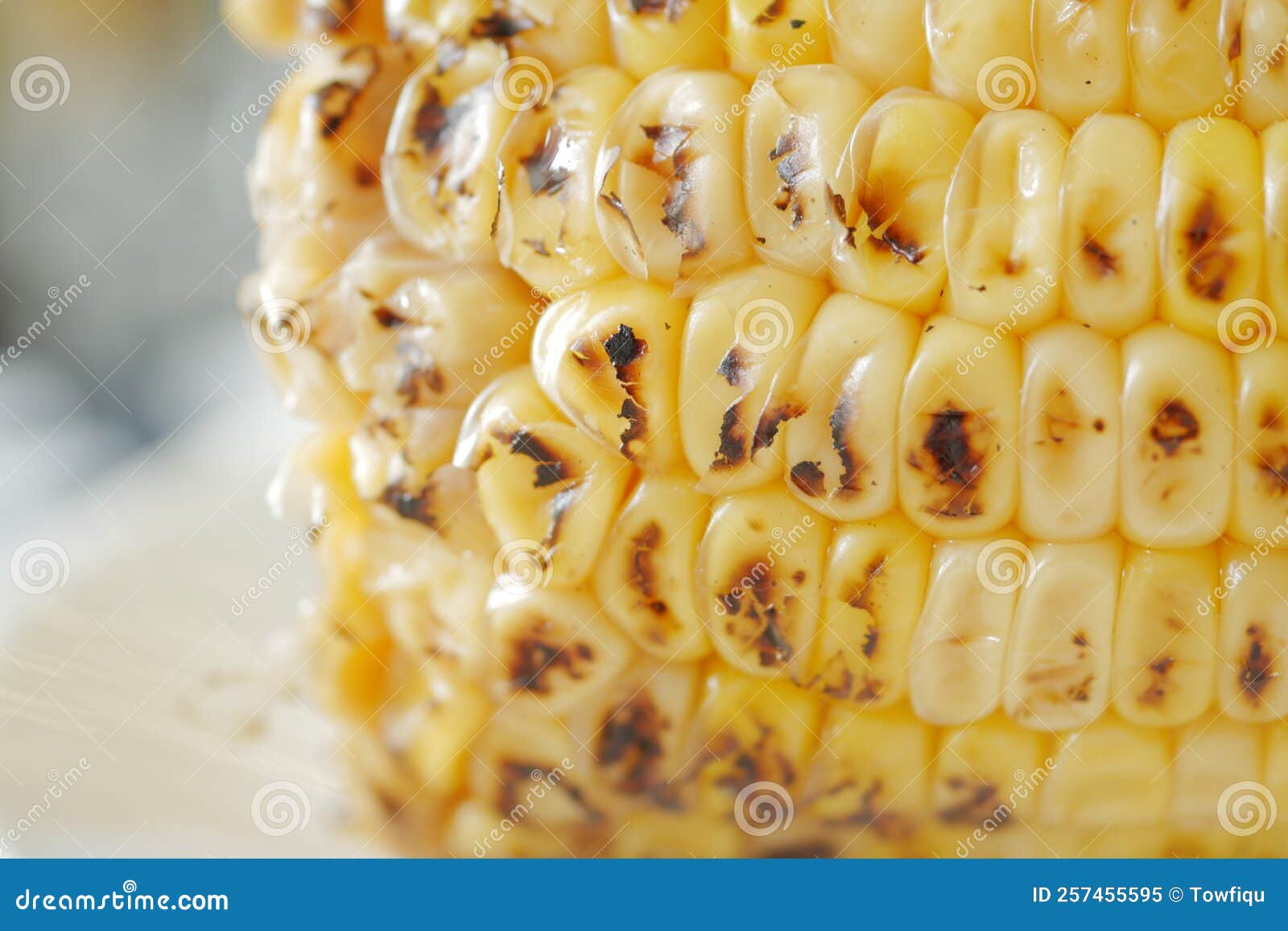 Corn Cob on White Background Close Up Stock Image - Image of growing ...