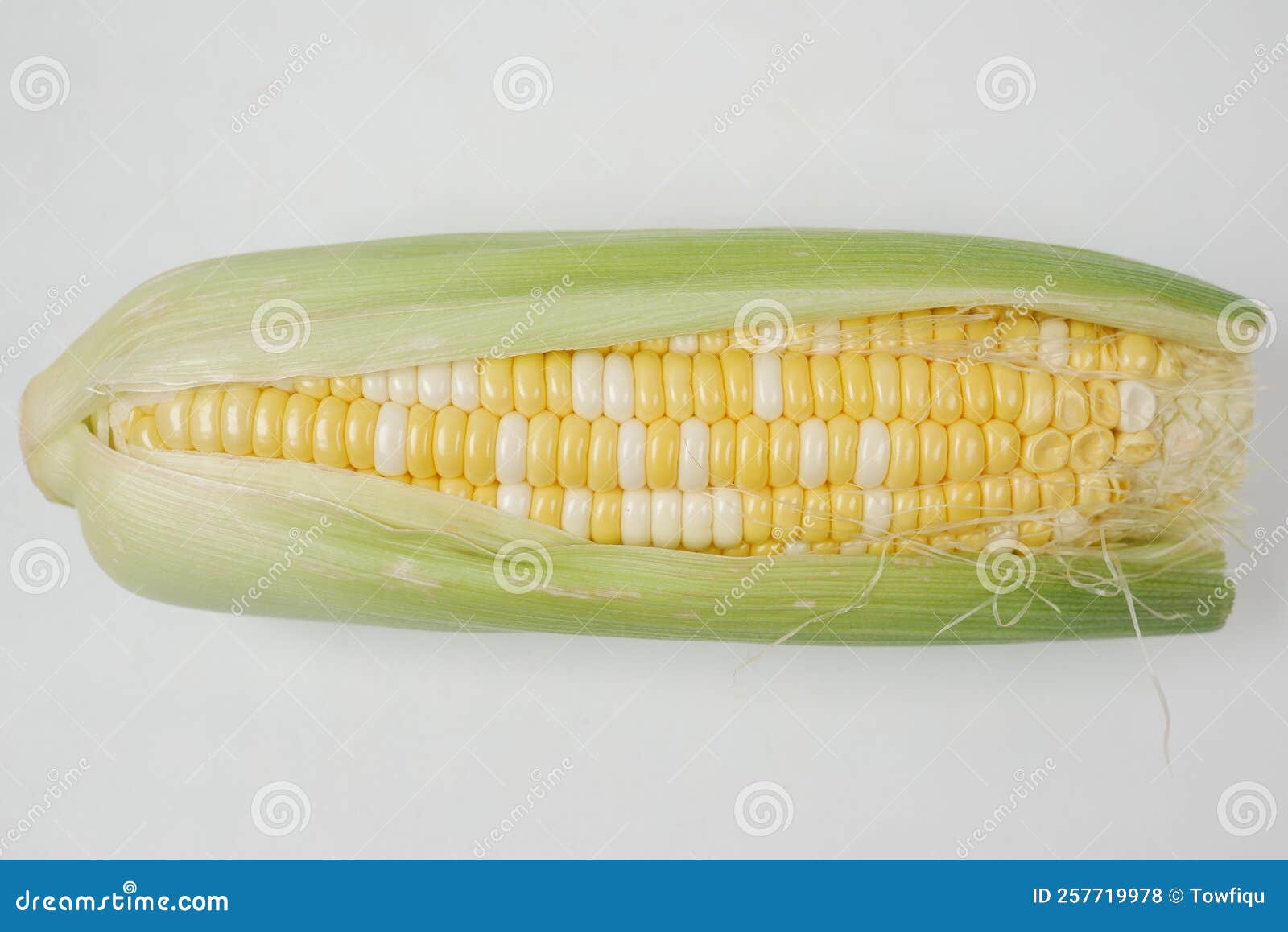 Corn Cob on White Background Close Up Stock Photo - Image of yellow ...