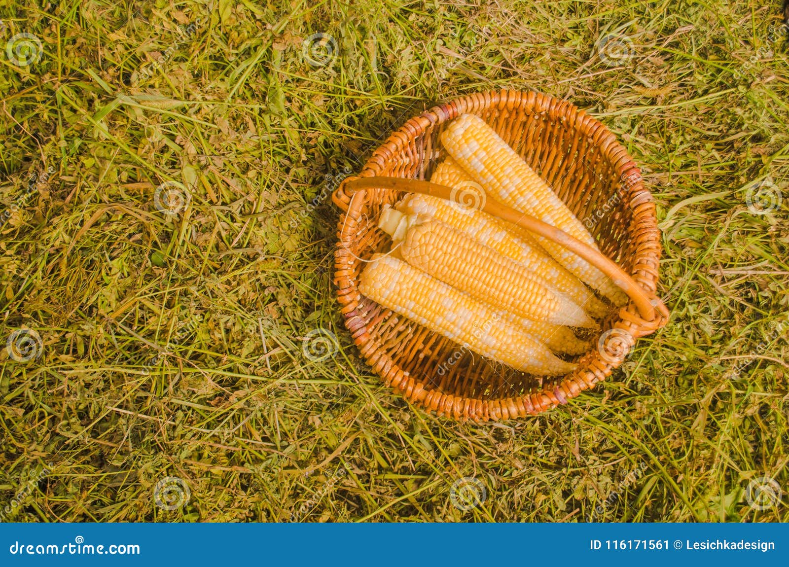 Corns in basket stock image. Image of food, green, harvest - 116171561