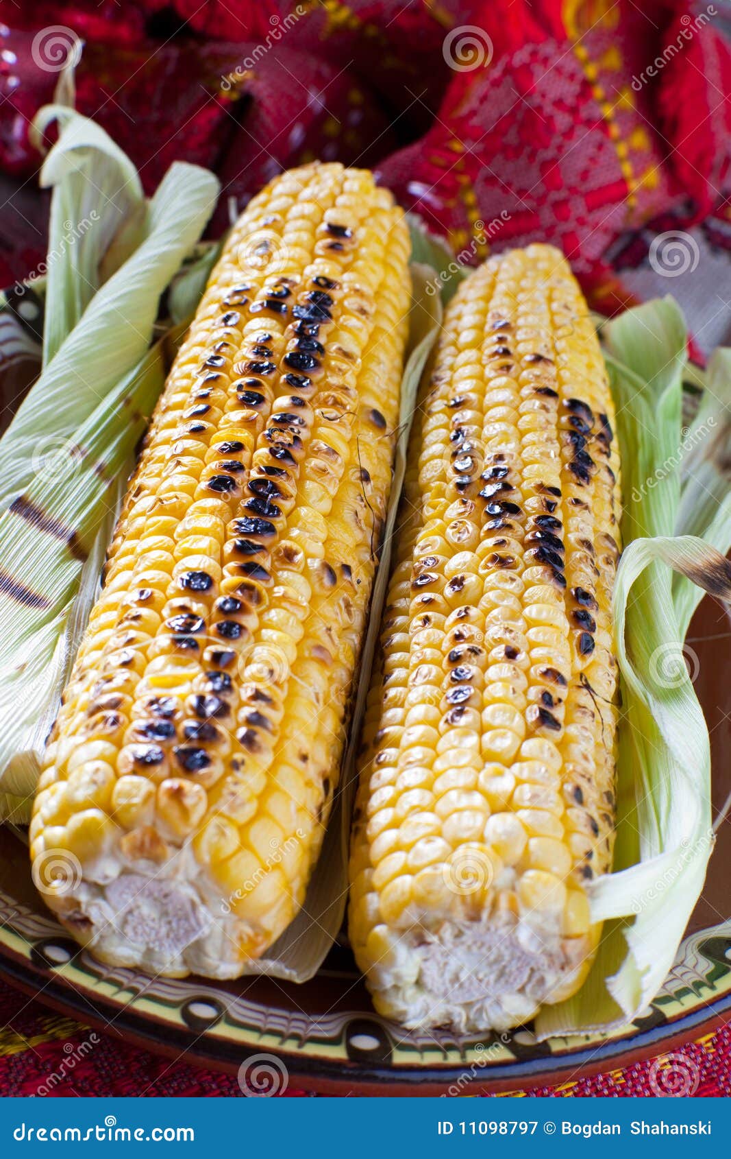Corn Cobs stock image. Image of vegetable, organic, natural - 11098797
