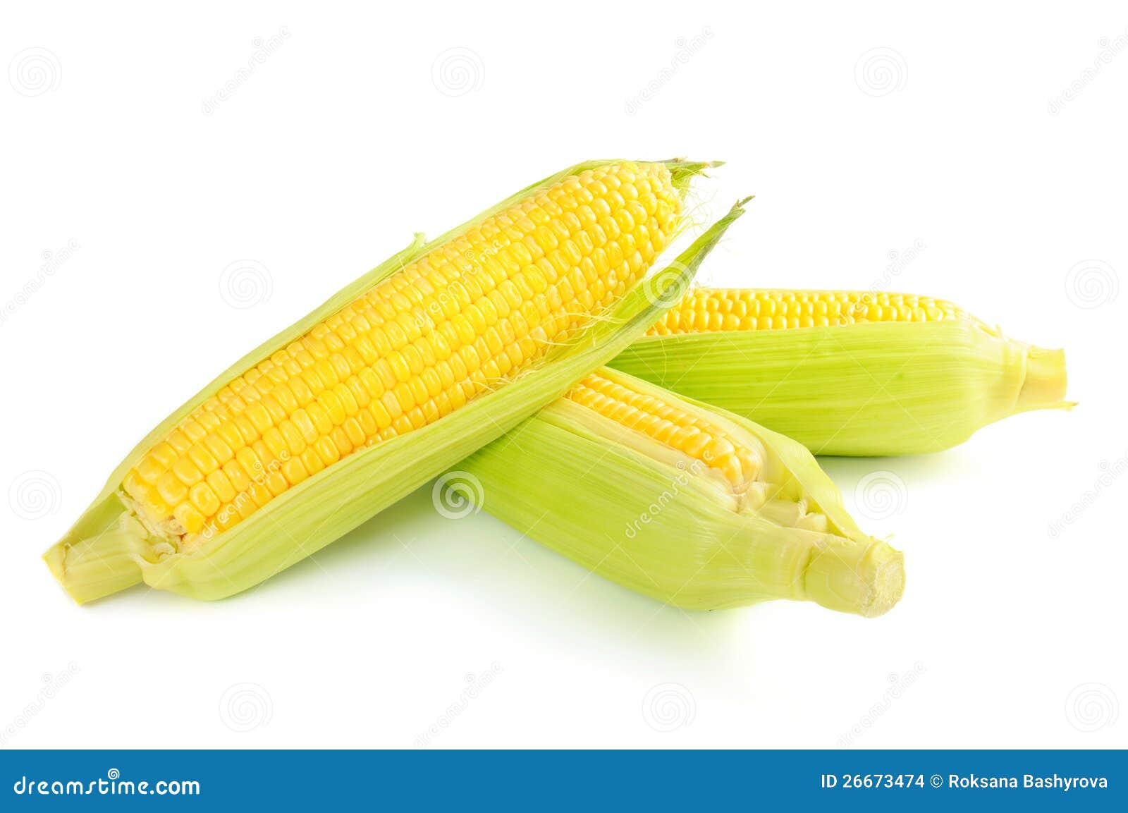 Corn cobs stock photo. Image of fruit, macro, detail - 26673474
