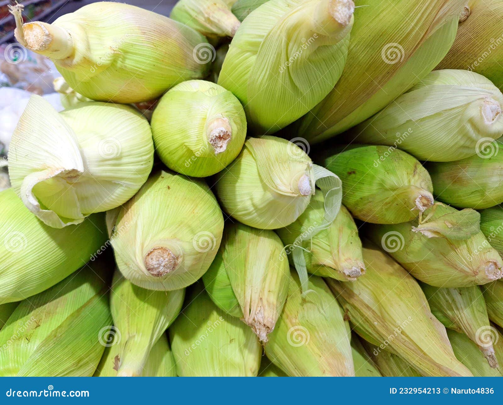 Corn on sale stock image. Image of product, produce - 232954213