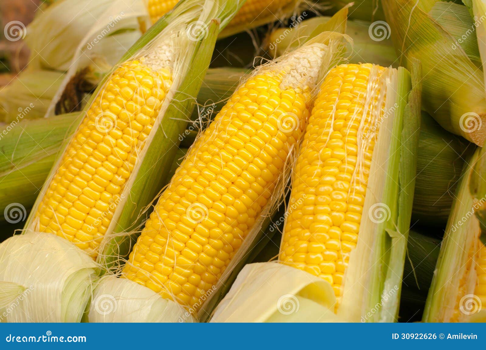 Corn Cobs Milled As Animal Feed. Waste From The End Of Corn Shelling ...