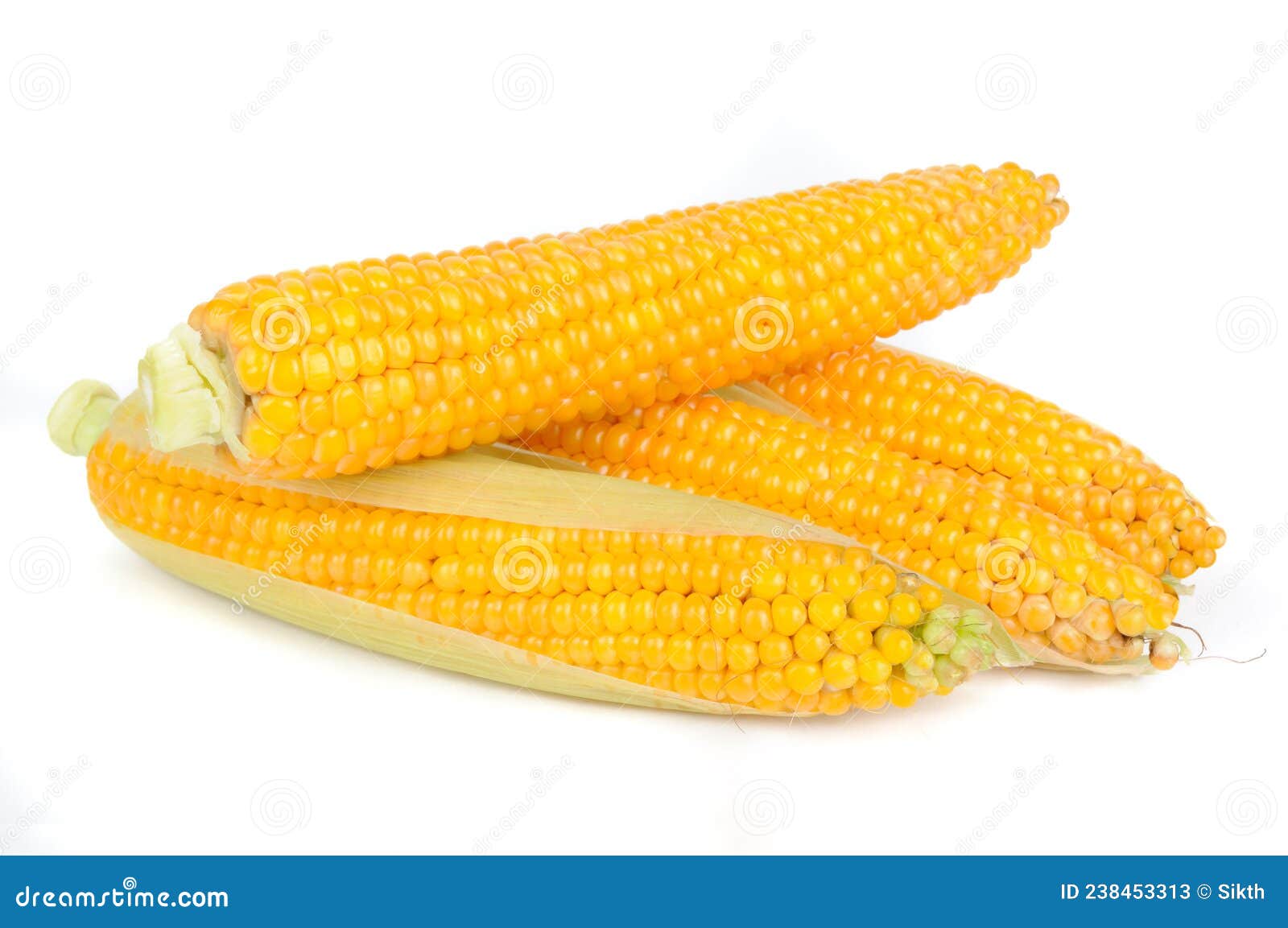 Corn on the Cobs Isolated on White Background Stock Image - Image of ...