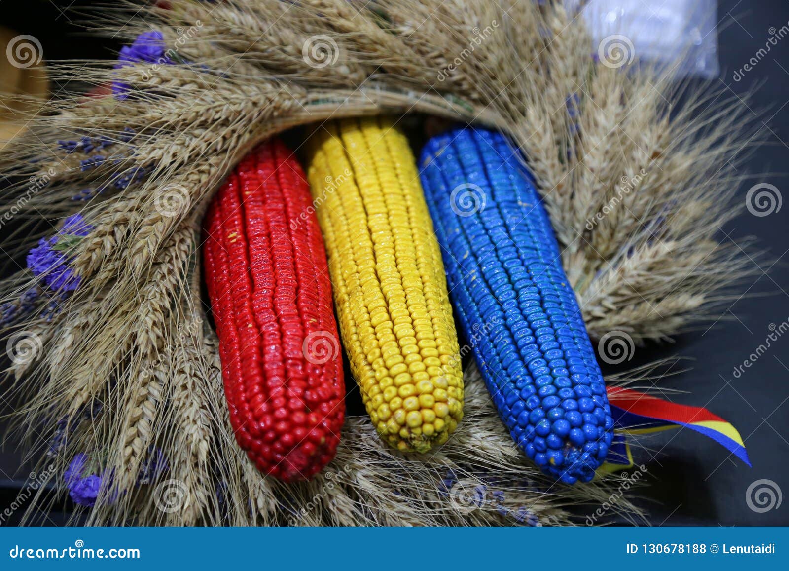 Corn Cobs Painted in the Colors of the Romanian Flag Stock Photo ...