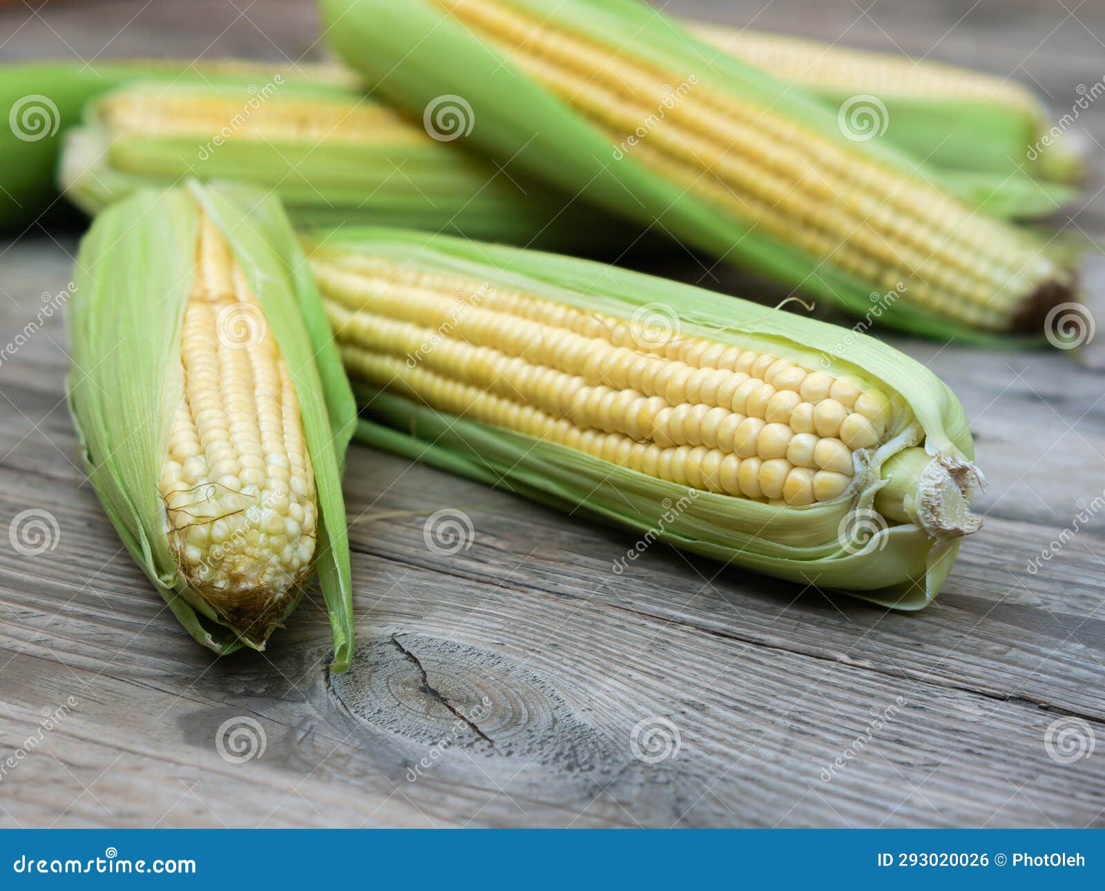 Corn Cobs on Rustic Wooden Unpainted Table Top Stock Photo - Image of ...