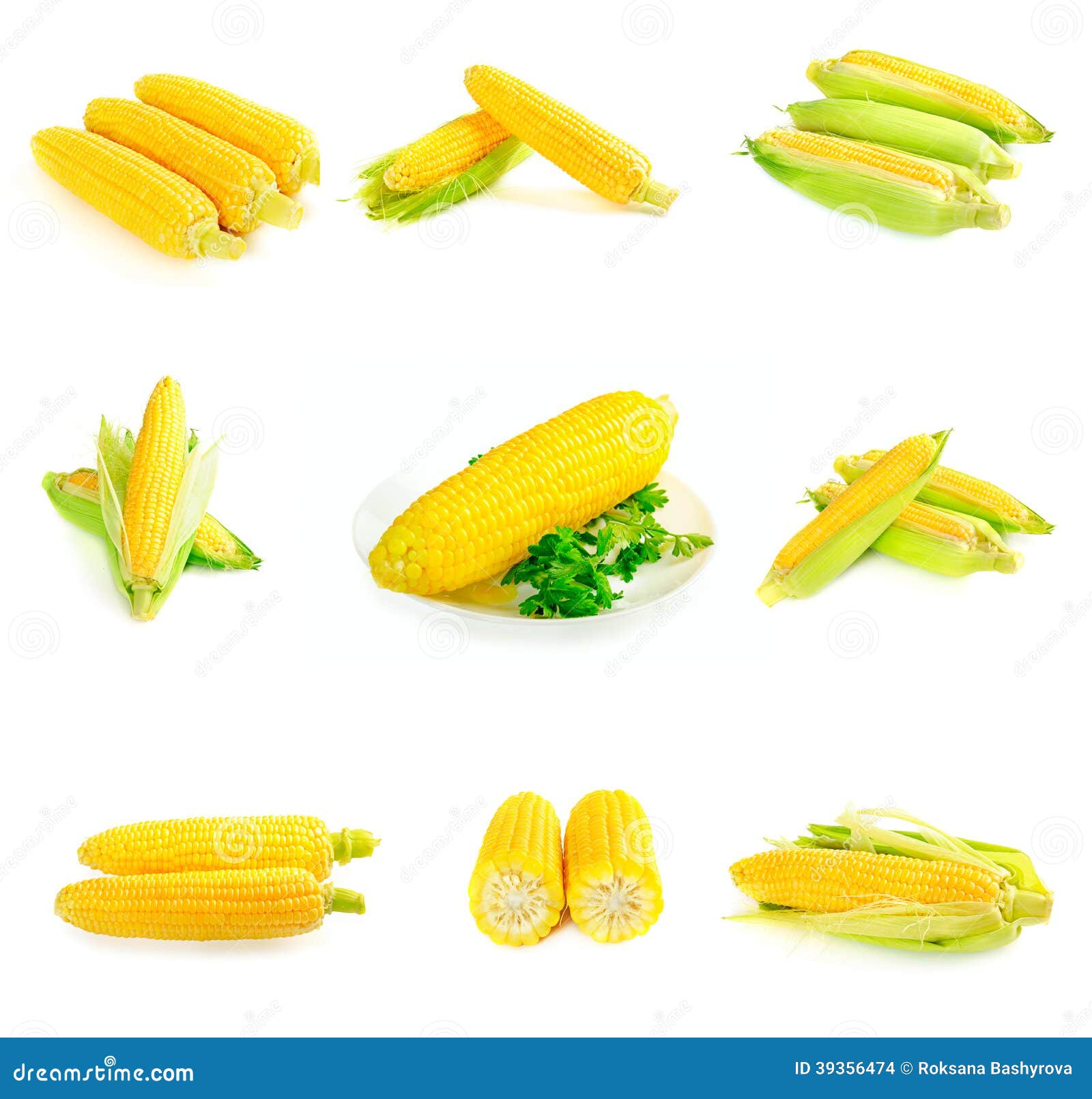 Corn cobs set stock photo. Image of agriculture, healthy - 39356474