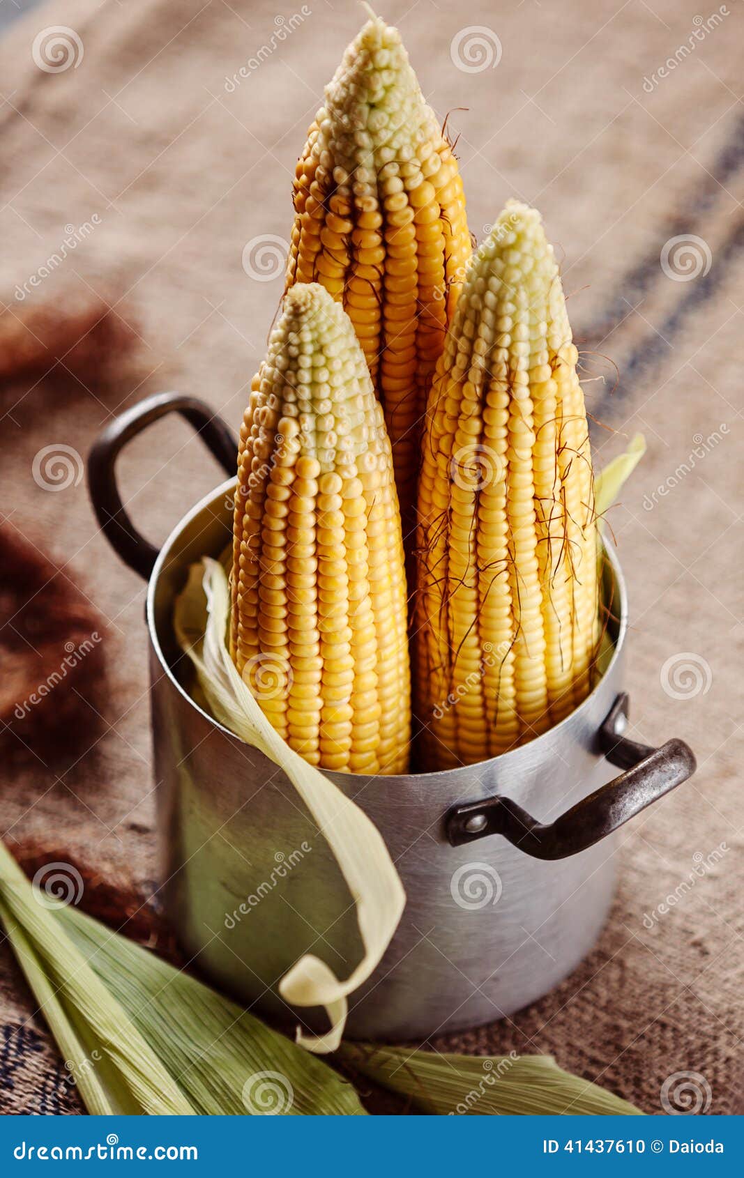 Corn cobs stock photo. Image of cook, grain, corn, cooked - 41437610