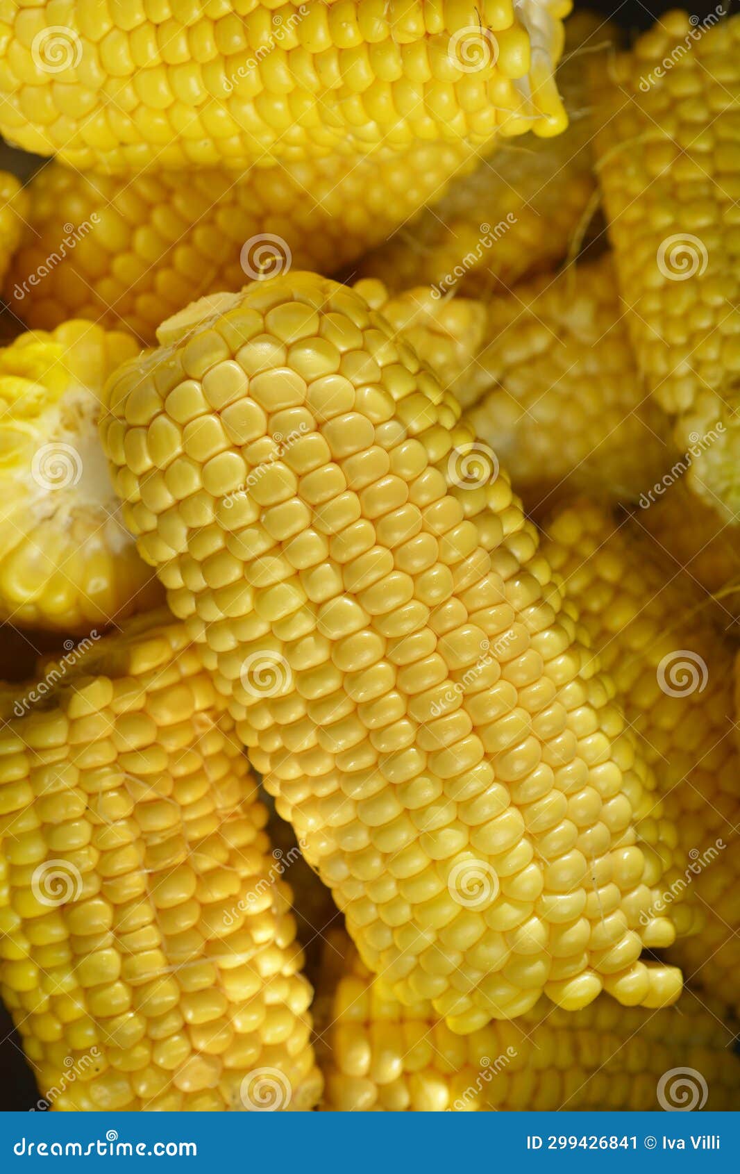 Corn cobs stock image. Image of halved, natural, detail - 299426841