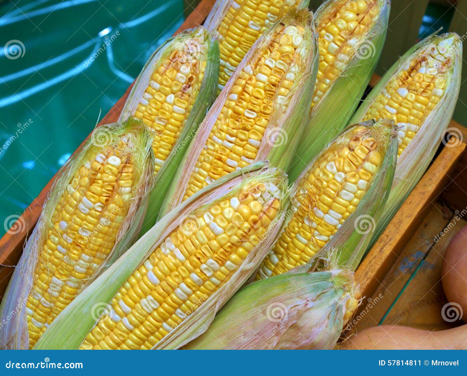 Corn cobs stock image. Image of health, nutrition, husk - 57814811