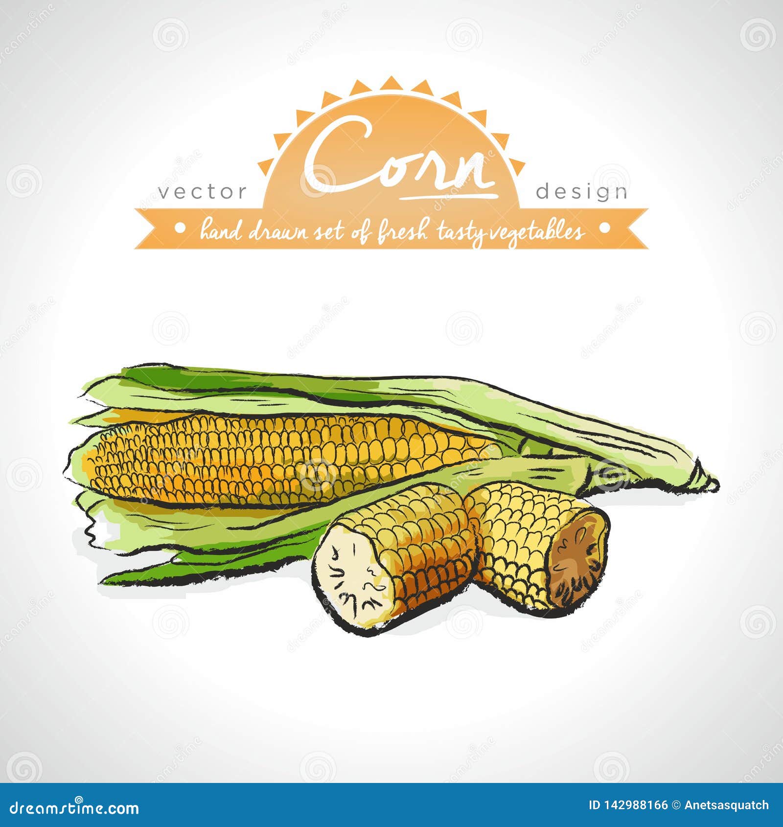 Corn Collection Hand Drawn Vintage Engraving Style Black And White Clip ...