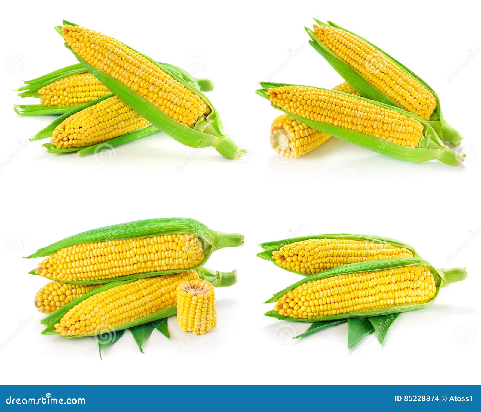 Corn collection isolated stock photo. Image of grain - 85228874