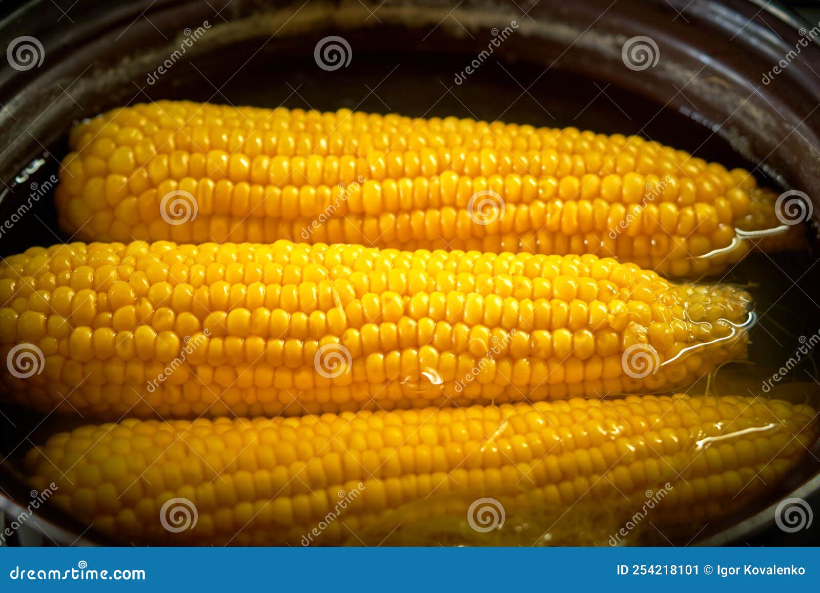 Corn is Cooked in a Pan in the Kitchen Stock Image - Image of dark ...