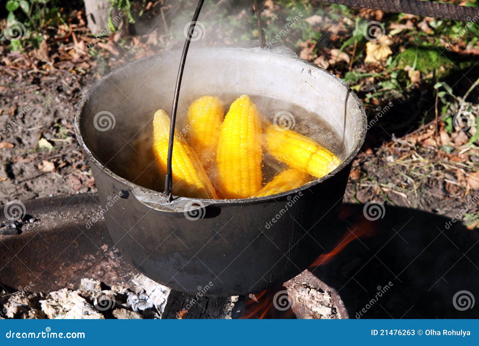 Corn cooking stock image. Image of metal, cobs, outdoors - 21476263