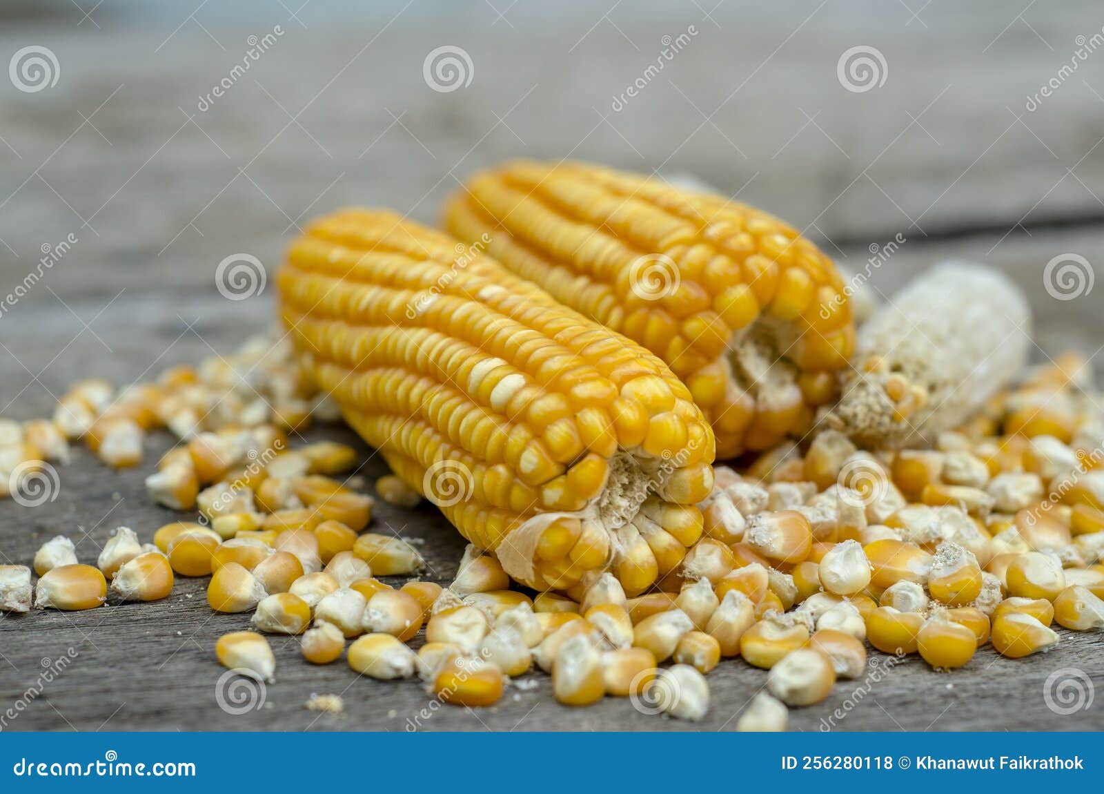 Heap of Corn, Seeds and Corncob Stock Photo - Image of food, nutritious ...