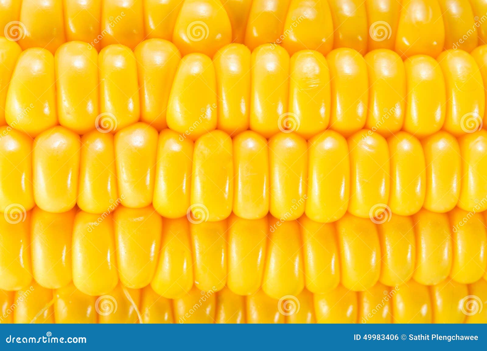 Corn, corn background stock photo. Image of nutrition - 49983406