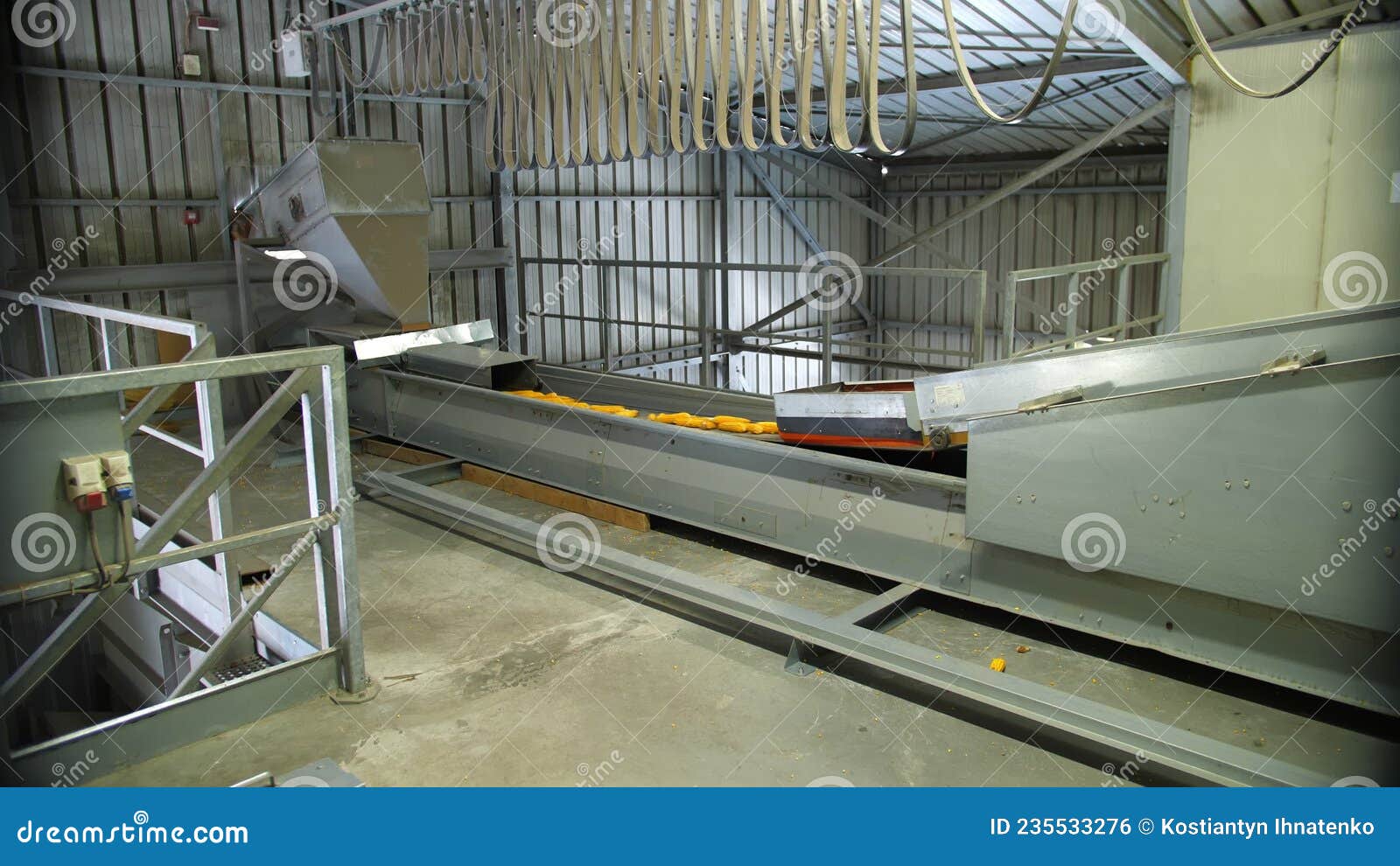 Corn. Corn Processing Factory. an Enterprise for Production ...