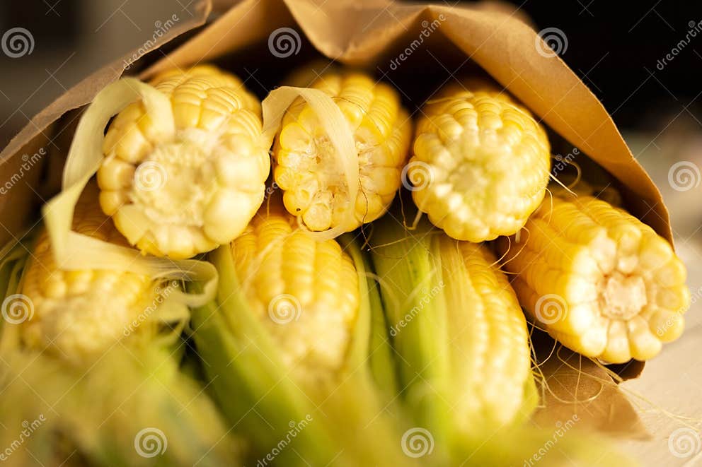 Corn in Craft Paper As a Bouquet Stock Photo - Image of nature, kernel ...