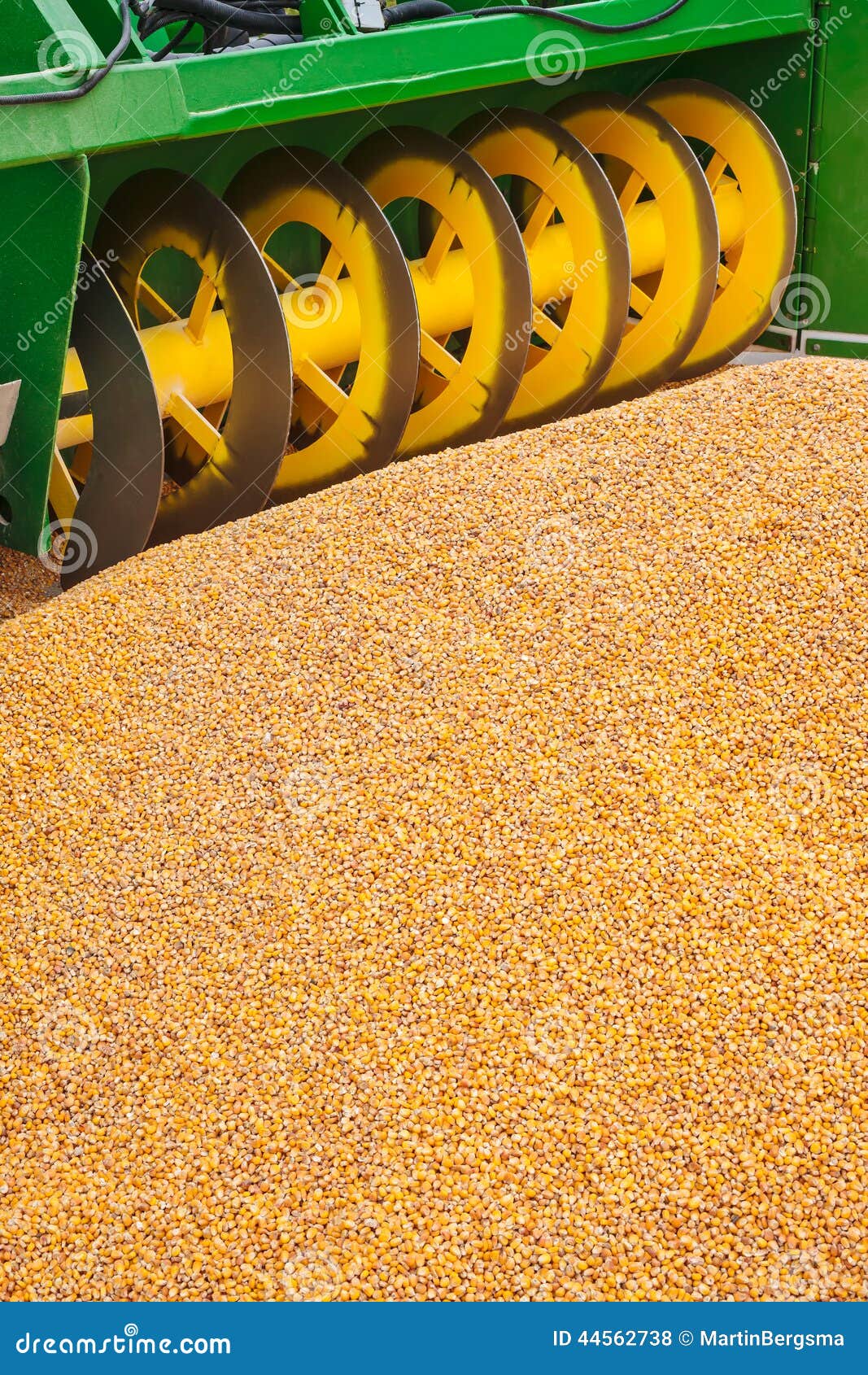 Corn Crop Harvester Machine with Fresh Corn in Front Editorial Stock ...