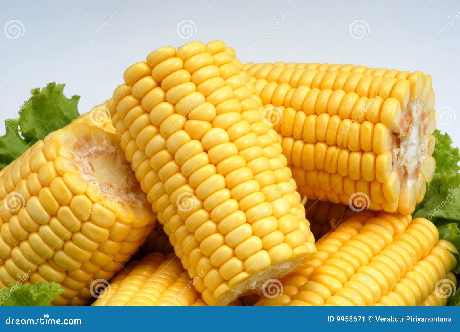 Corn Cut stock image. Image of husk, eating, corn, single - 9958671