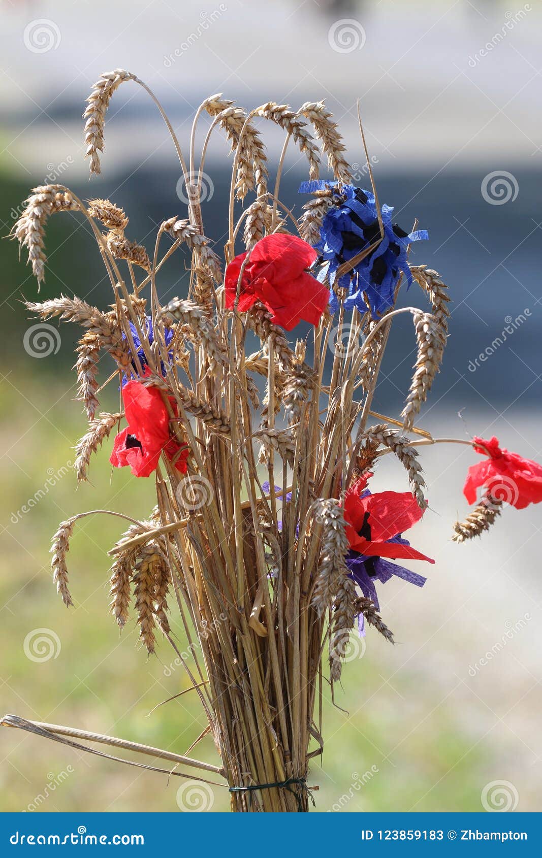 Corn dolly in the sunshine stock image. Image of bundle - 123859183