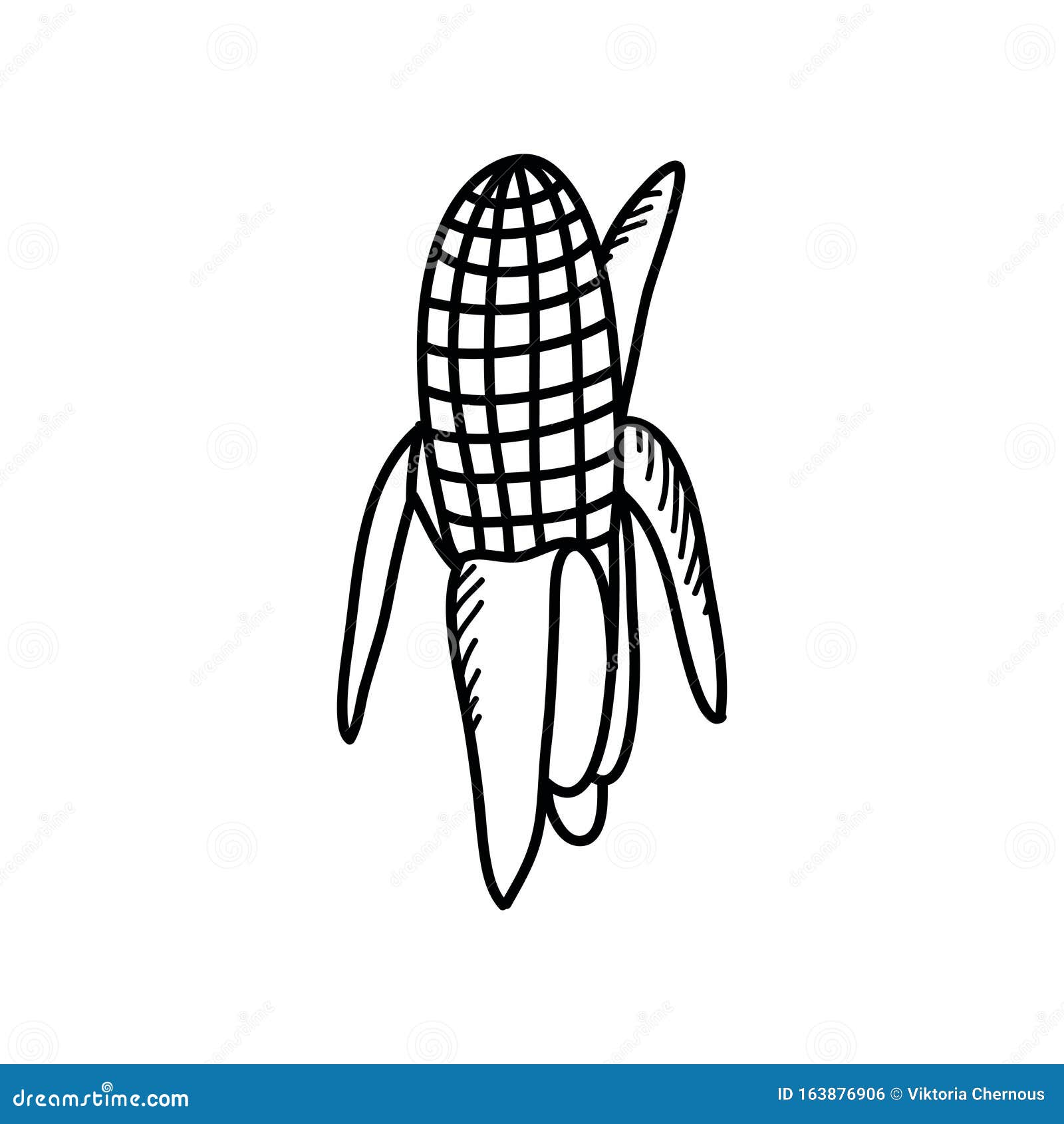 Corn Doodle Icon, Vector Illustration Stock Illustration - Illustration ...