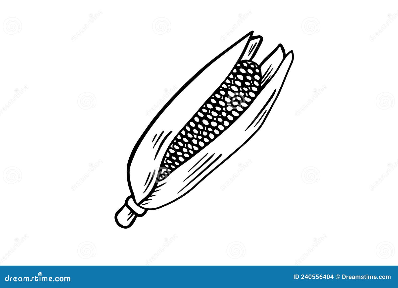 Corn Drawn with a Black Outline. Vector Graphics Stock Vector ...