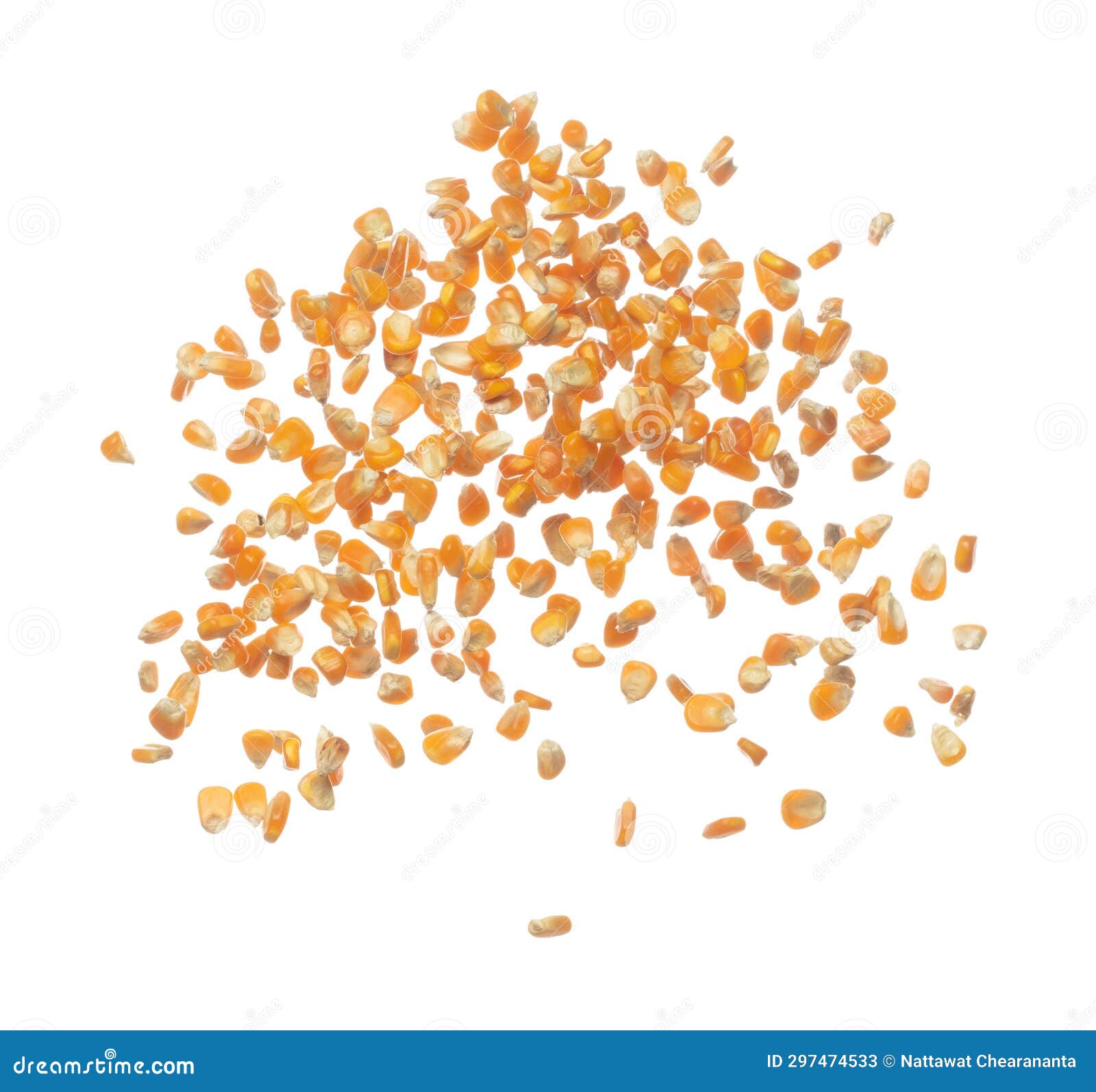 Corn Dried Seed Grain Fly in Mid Air. Yellow Golden Corn Seed Falling ...