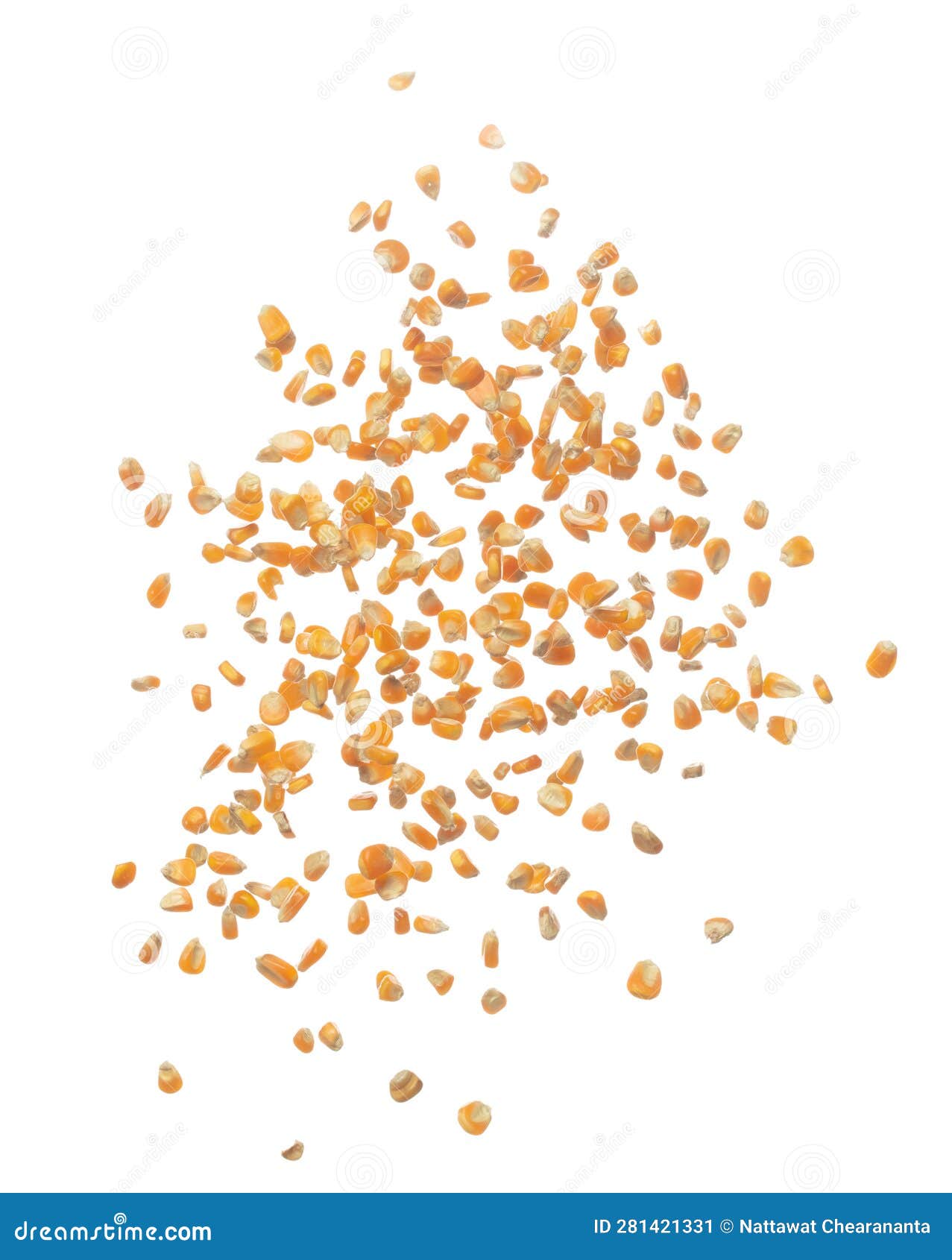 Corn Dried Seed Grain Fly in Mid Air. Yellow Golden Corn Seed Falling ...