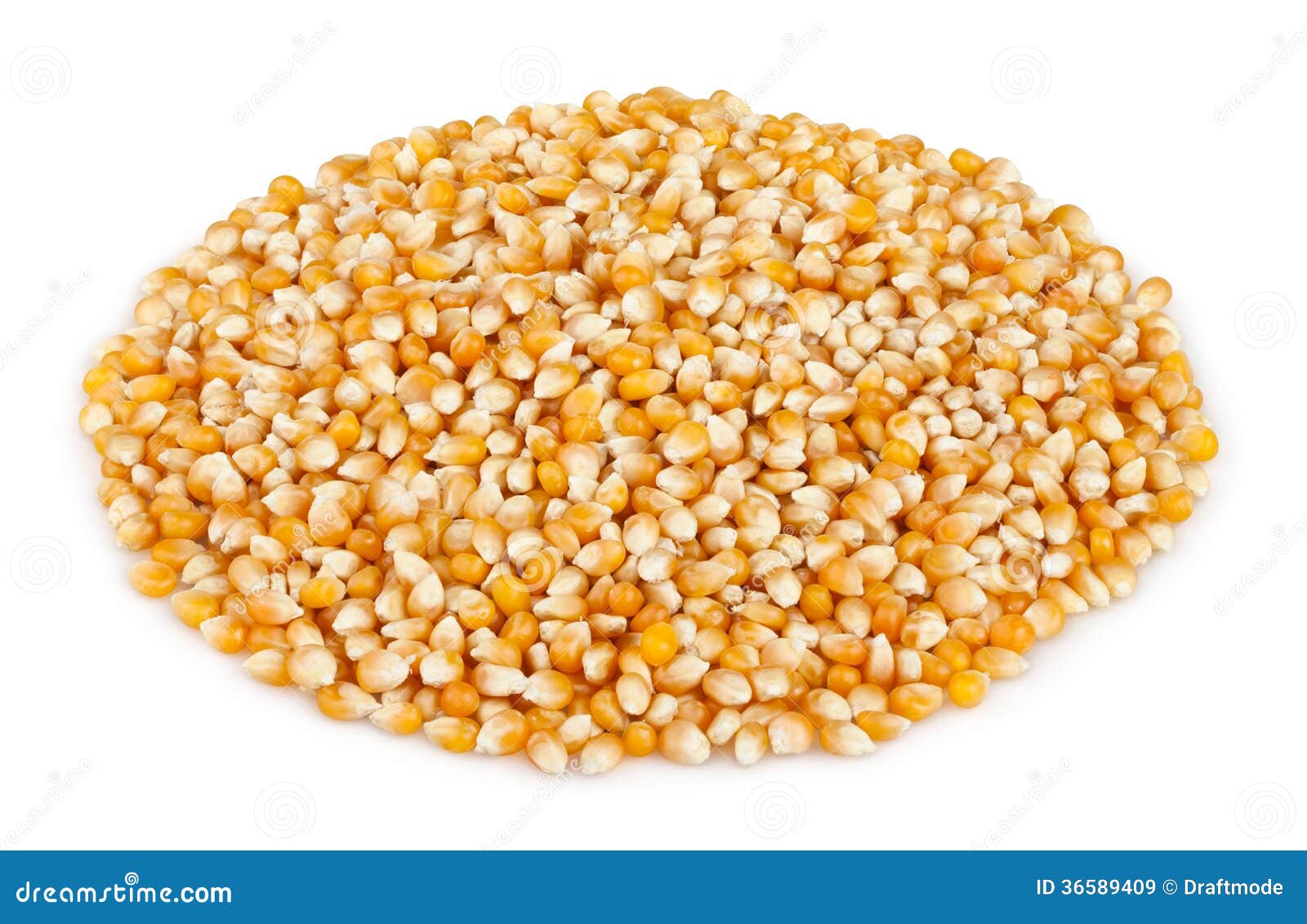Corn dry kernels heap stock image. Image of food, nutrient - 36589409